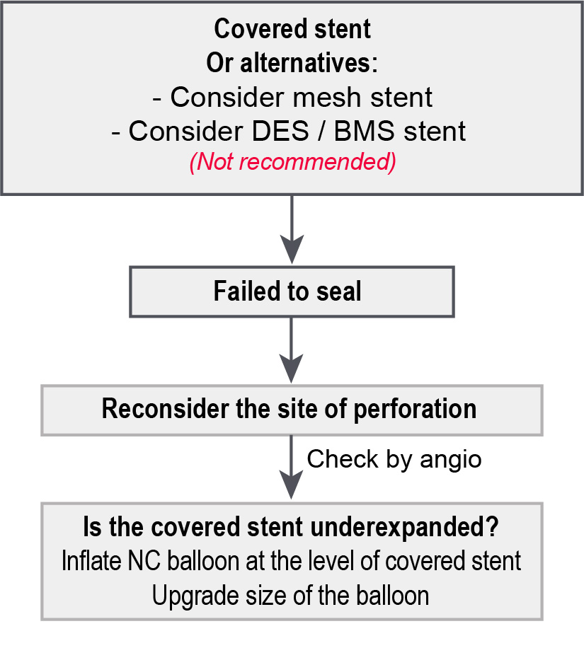Case study: a Ramus Type III perforation
