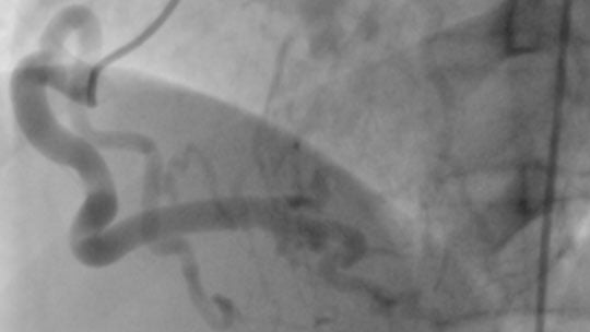 Incompatible with life - Image 8