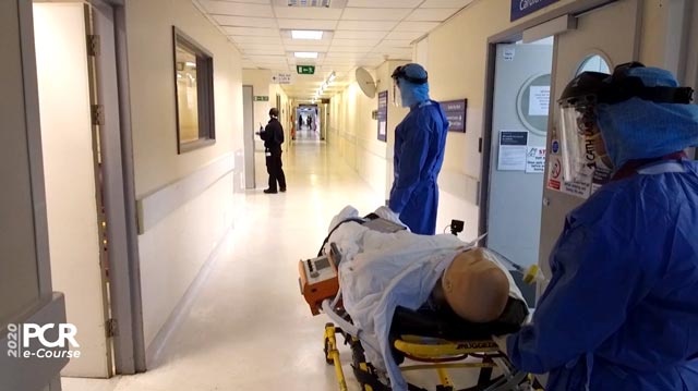 Emerging from the SARS-COV-2 crisis: using immersive team simulation to ...