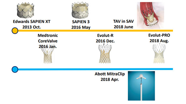 Sizes, wires, and other innovations in TAVI technique and technology