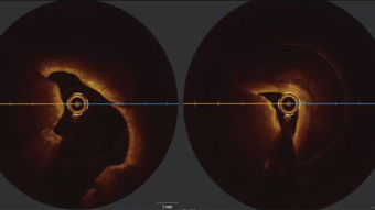 Quentin de Hemptinne