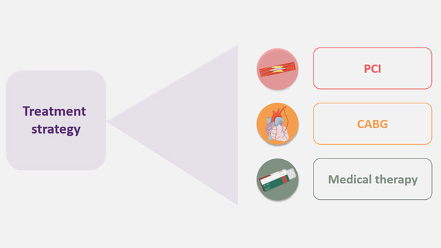 Multivessel disease - Which patients for PCI, CABG or medical treatment?
