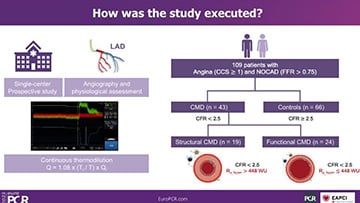 Physiological assessment of epicardial vessels and the microcirculation
