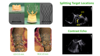 Nicolò Azzola Guicciardi