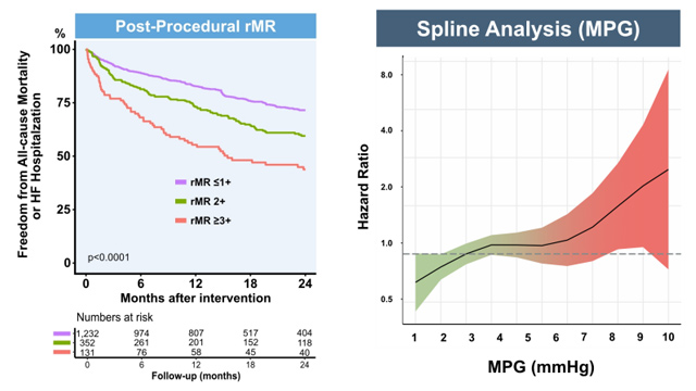 Mitral TEER - Part 1