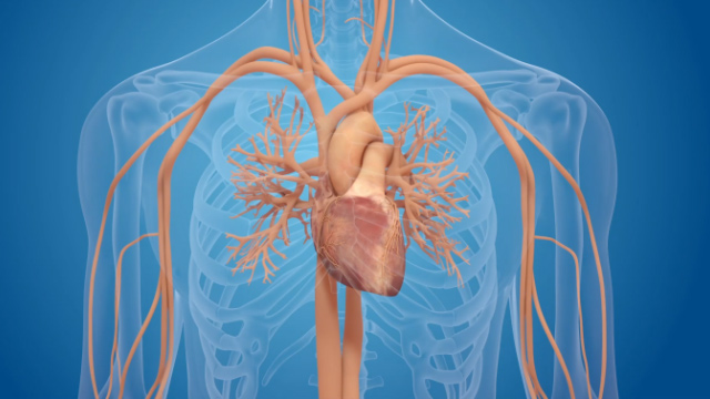 TAVI outcomes - Part 2