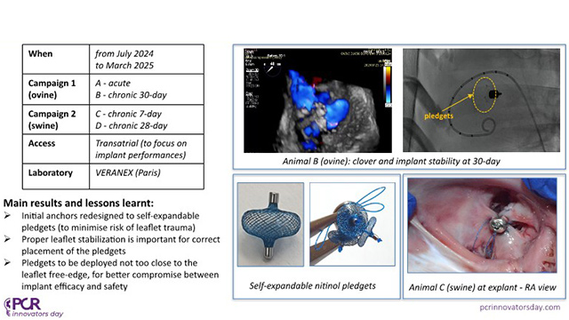 What is new in atrioventricular valves?