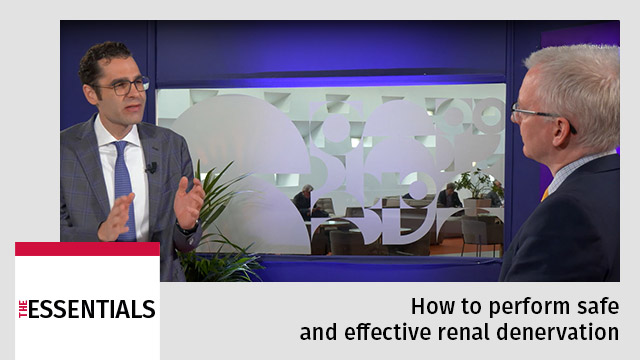 How to perform safe and effective renal denervation