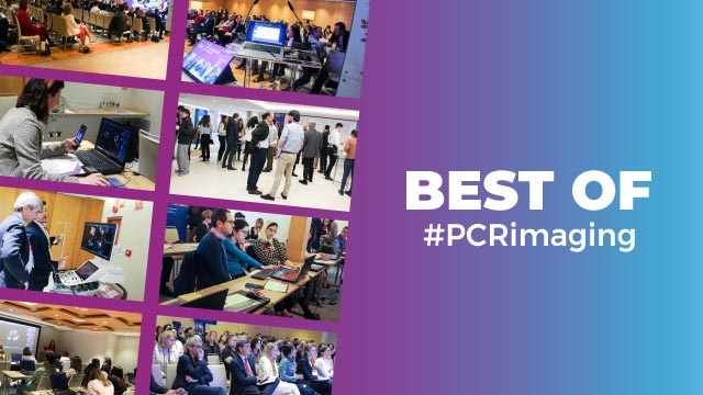 Interventional Cardiovascular Imaging