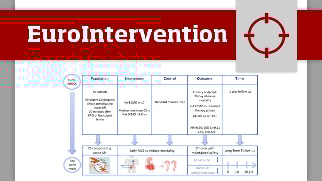 Venoarterial extracorporeal membrane oxygenation or standard care in ...